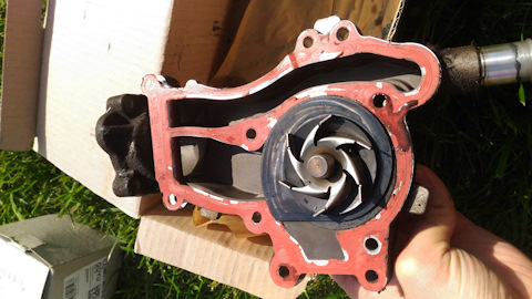 55568033 прокладка насоса охлаждающей жидкости GM | Запчасти на DRIVE2