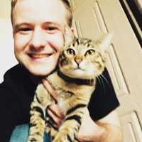 Продаются ли туманам на экзисте на 18? — Сообщество «Toyota Celica» на ...