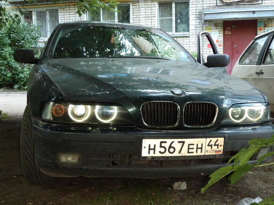 Ангельские глазки — BMW 5 series (E39), 2 л, 1997 года | аксессуары ...