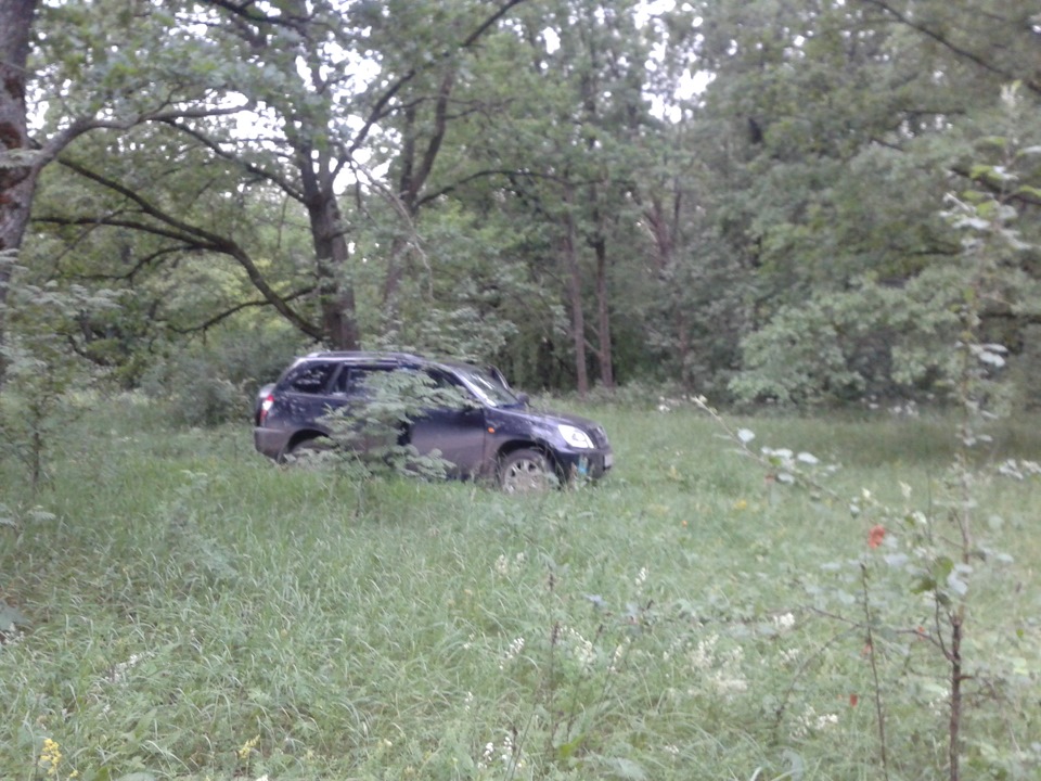 Просто фотки с прогулки в лес. — ТагАЗ Vortex Tingo, 1,8 л, 2011 года ...