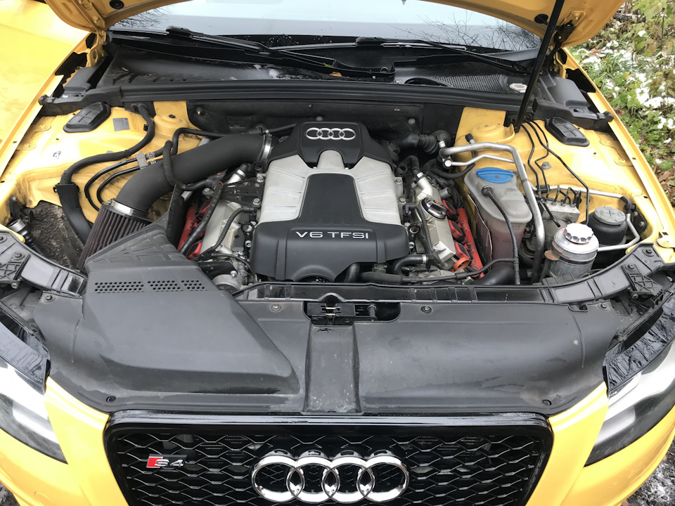 Так она выглядит на данный момент! — Audi S4 (B8), 3 л, 2010 года ...