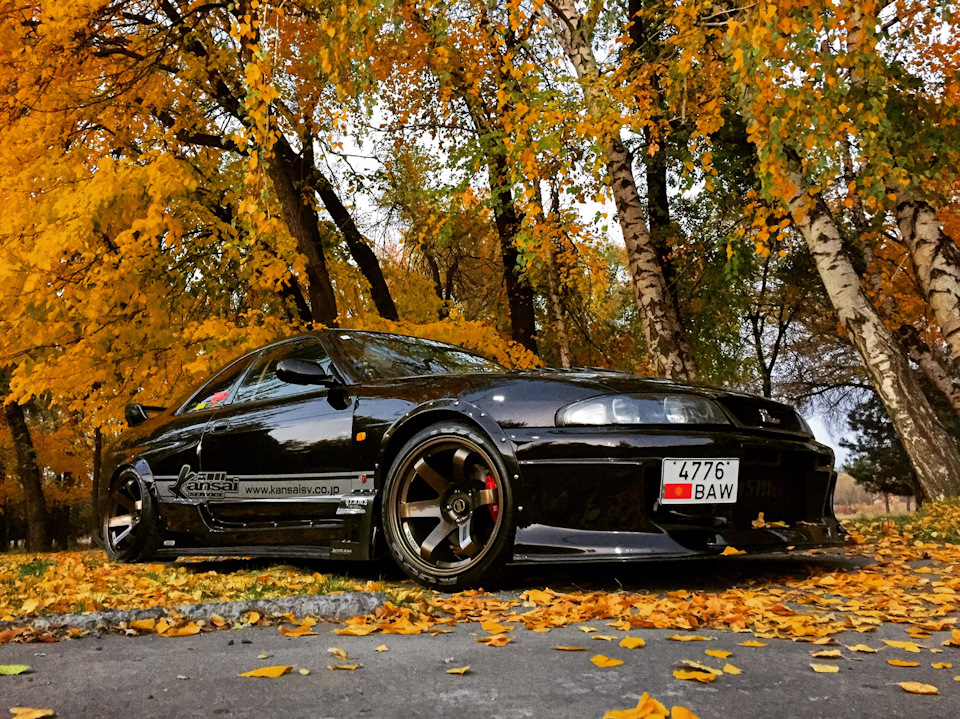 Пару осенних фотографий — Nissan Skyline GT-R (R33), 2,7 л, 1998 года ...