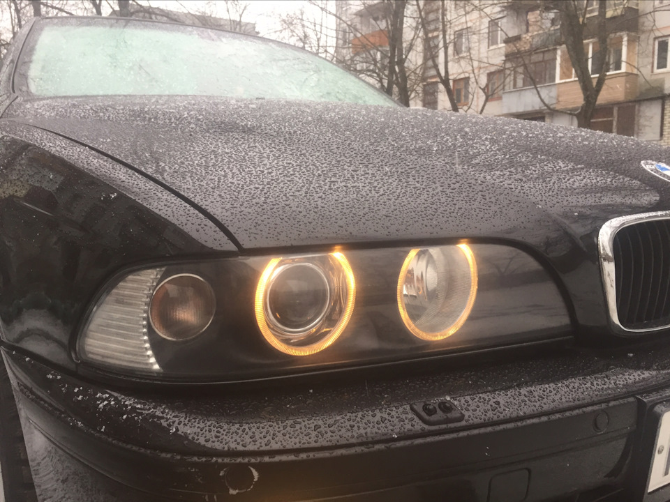 Что вышло с фарами — BMW 5 series (E39), 2,5 л, 2002 года | просто так ...