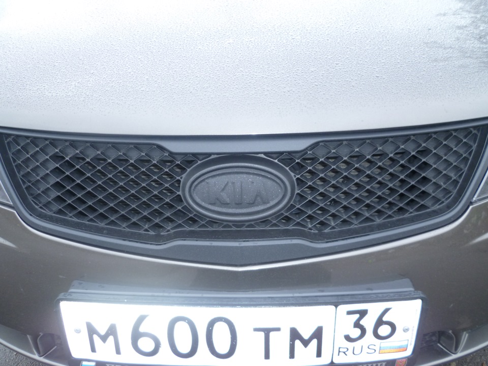 Решеточка — KIA Cerato (2G), 1,6 л, 2010 года | стайлинг | DRIVE2
