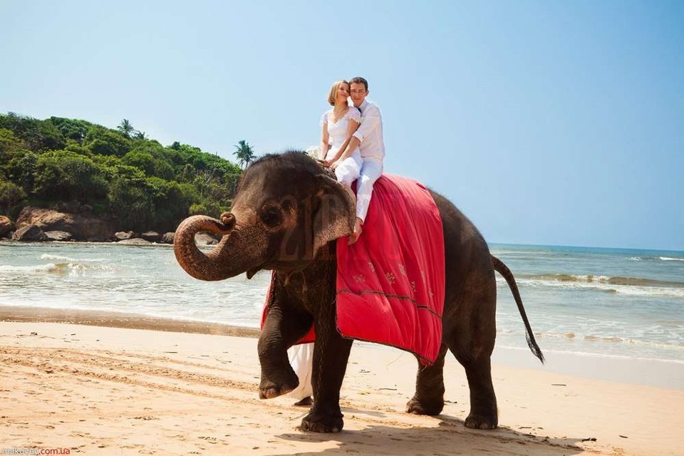 ГОРЯЧИЕ туры в ШРИ-ЛАНКУ! — DRIVE2