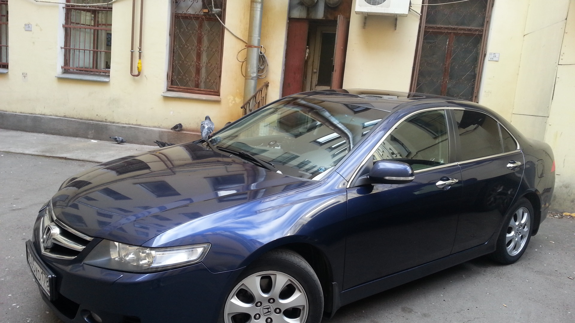 Honda Accord (7G) 2.4 бензиновый 2006 | Blue Exe на DRIVE2