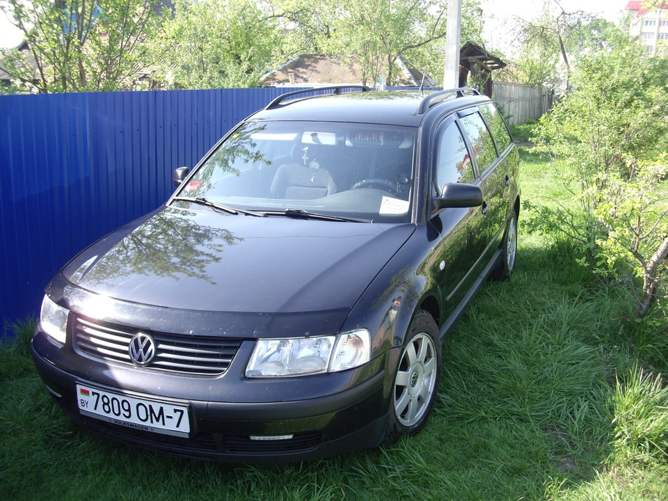Летнии фото — Volkswagen Passat B5, 1,9 л, 2000 года | фотография | DRIVE2