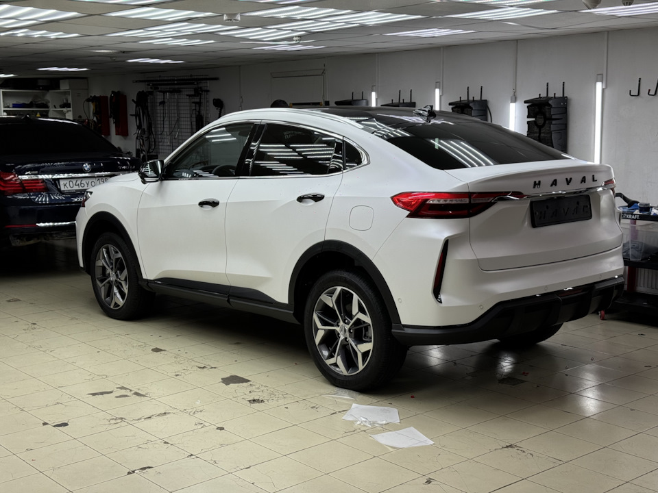 Защита и эстетика) — Haval F7x (1G), 2 л, 2024 года | стайлинг | DRIVE2
