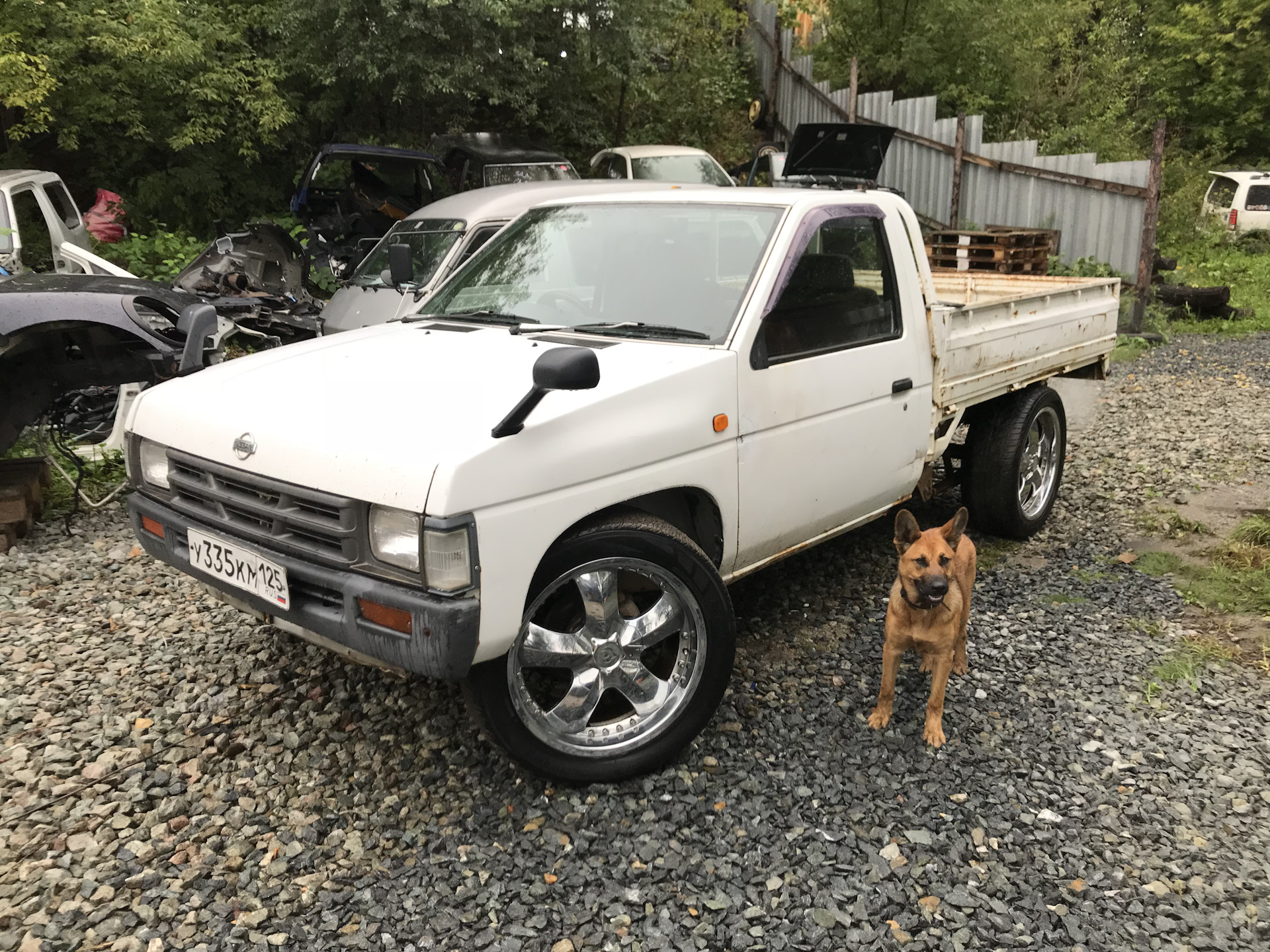 20 колёса, временно) — Nissan Datsun (D21), 2 л, 1996 года | колёсные ...