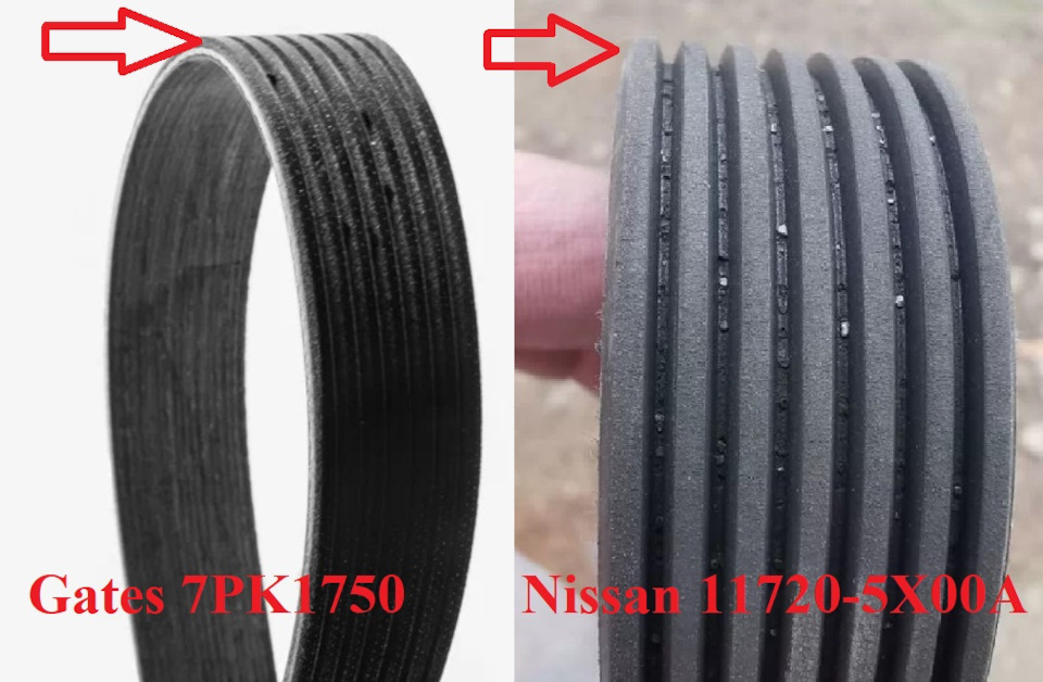 117205X00A Поликлиновый ремень NISSAN INFINITI | Запчасти на DRIVE2