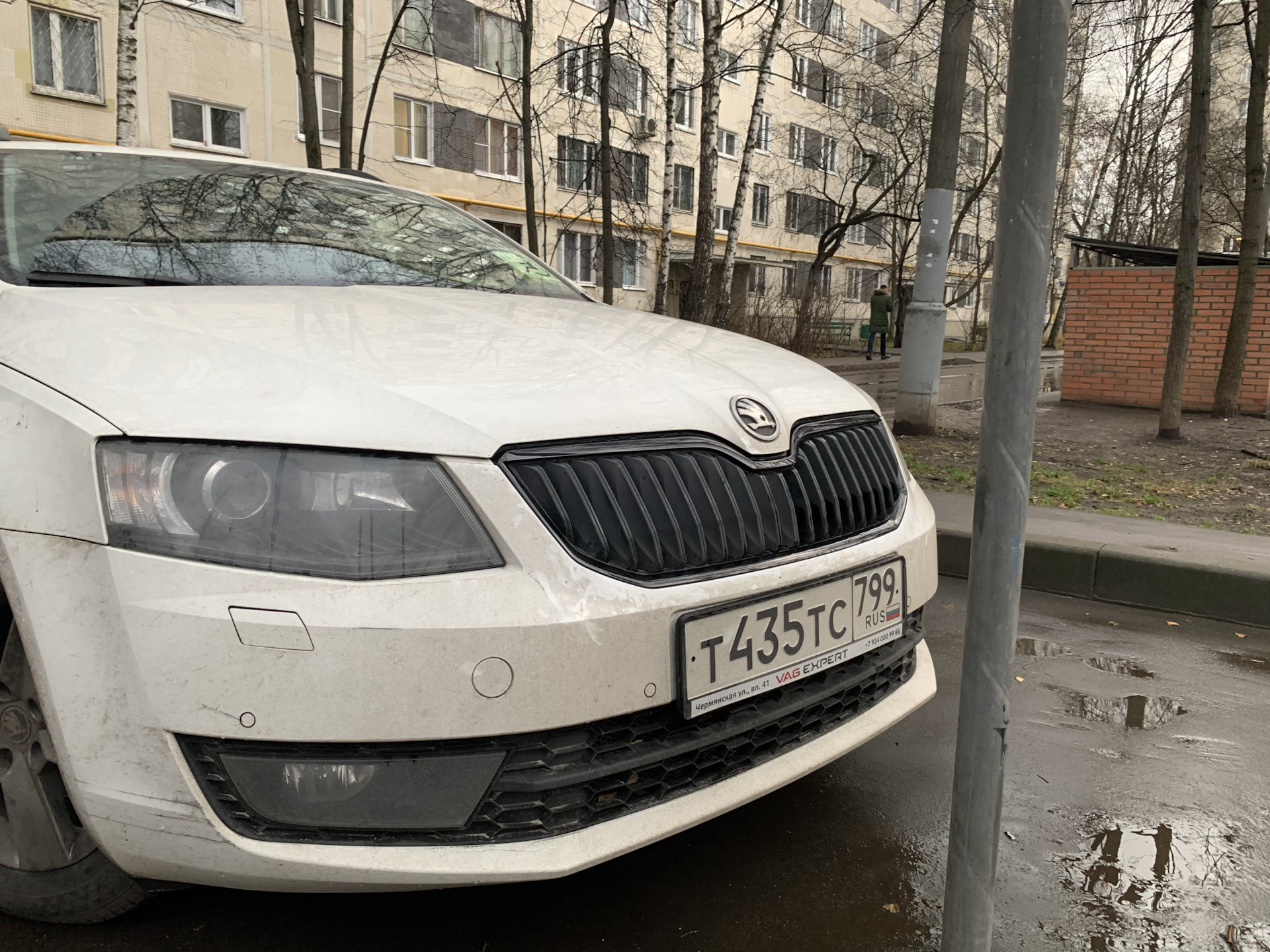 ТО + замена ГРМ. Black Edition начало. — Skoda Octavia Combi A7 Mk3, 1 ...