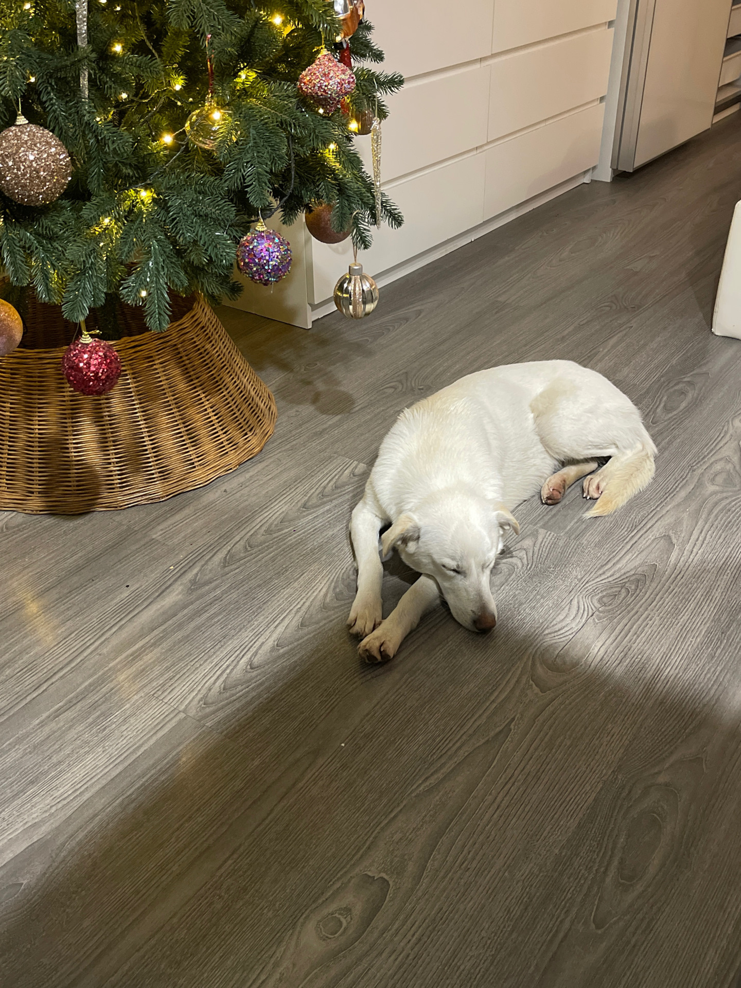 АКПП, обслуживание тормозной системы, ступичный подшипник. — BMW 5 ...