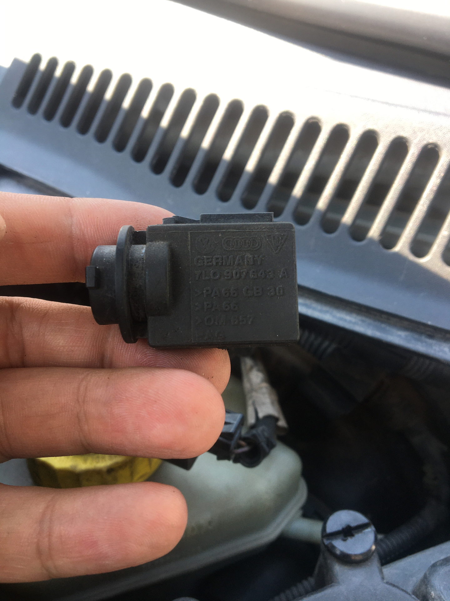 Датчик G238 — Volkswagen Touareg (1G), 3,2 л, 2006 года | своими руками ...