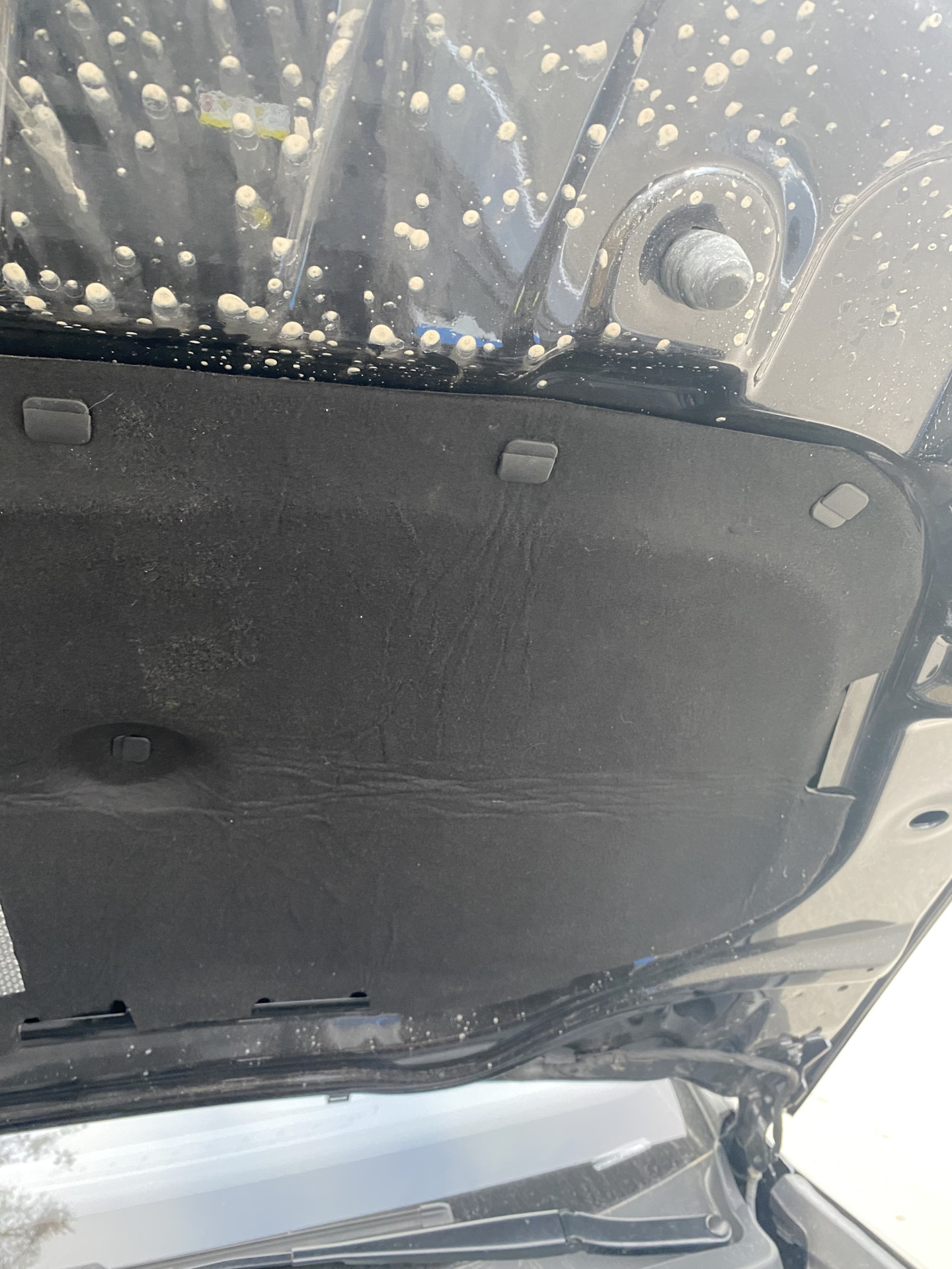 ТШИ на капот и чехол ключа — Jetta VS5, 1,4 л, 2023 года | аксессуары | DRIVE2