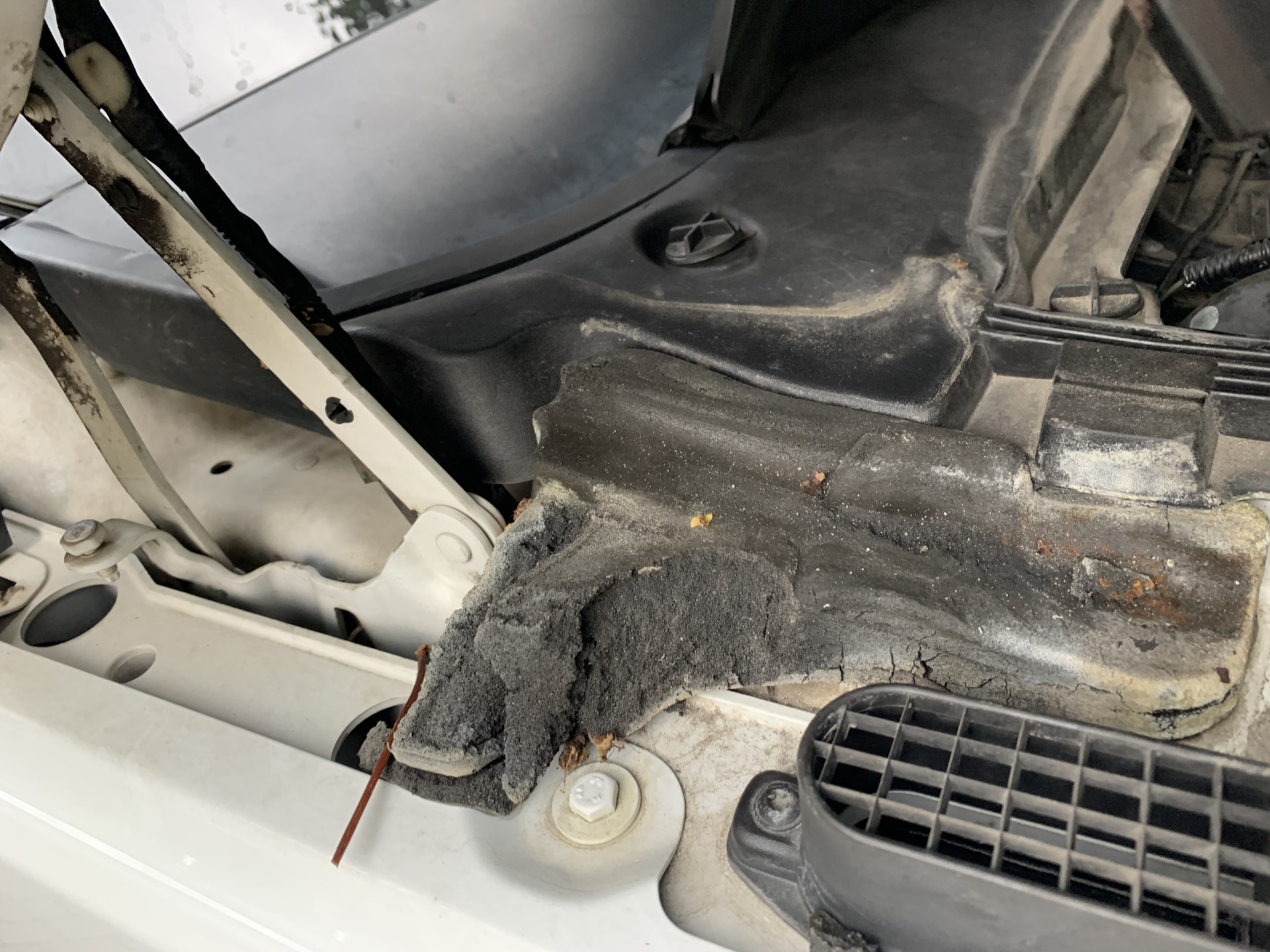 Развалились изоляторы капота Range Rover — Land Rover Range Rover (4G ...