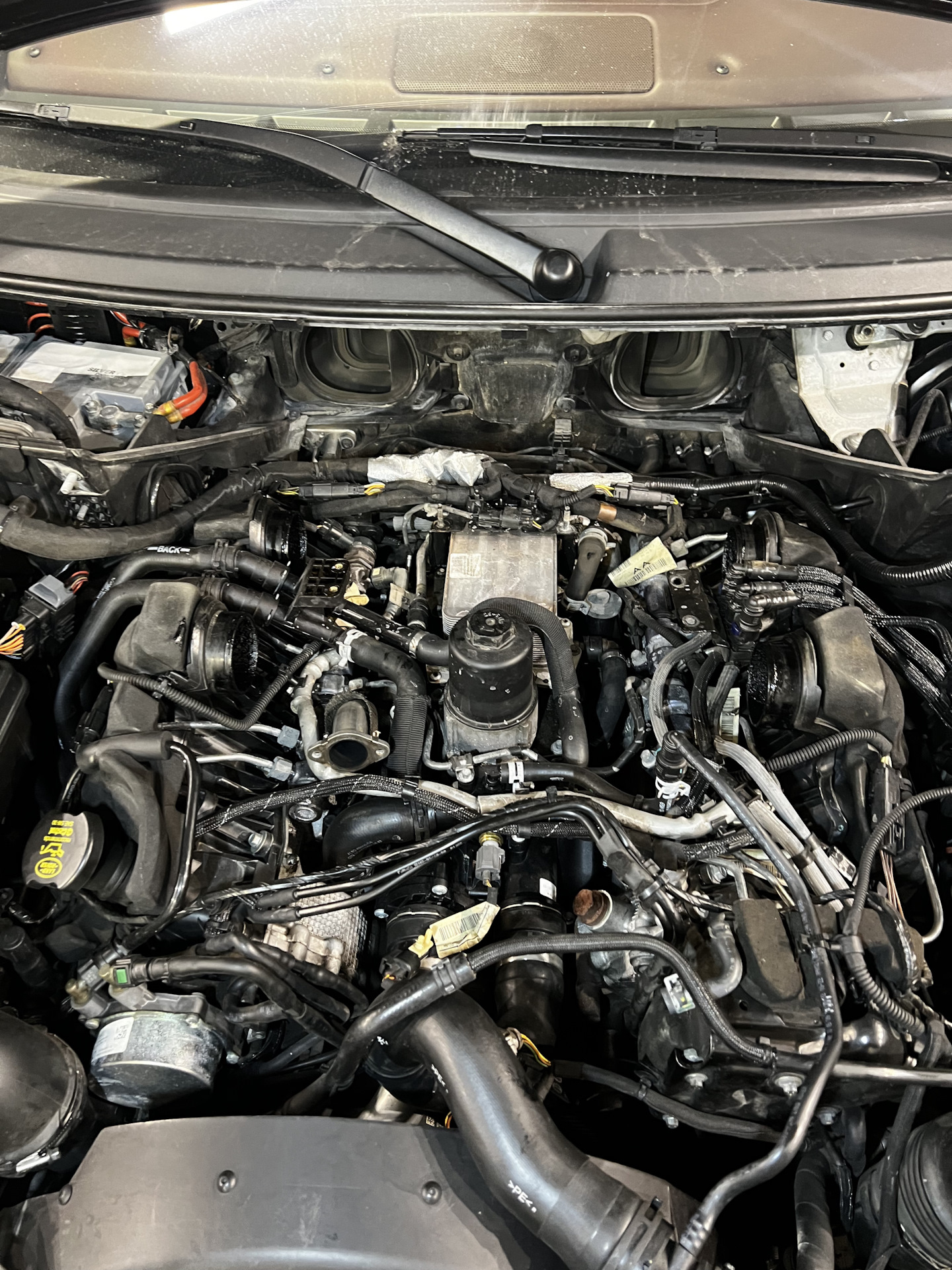 Устранение течи масла и ТО. Часть 1. — Land Rover Range Rover (3G), 4,4 ...