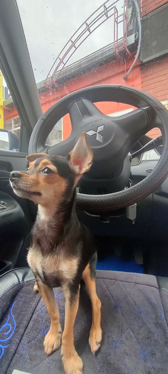 Замена магнитолы на Bos Mini A7 — Mitsubishi Lancer IX, 1,6 л, 2006 ...