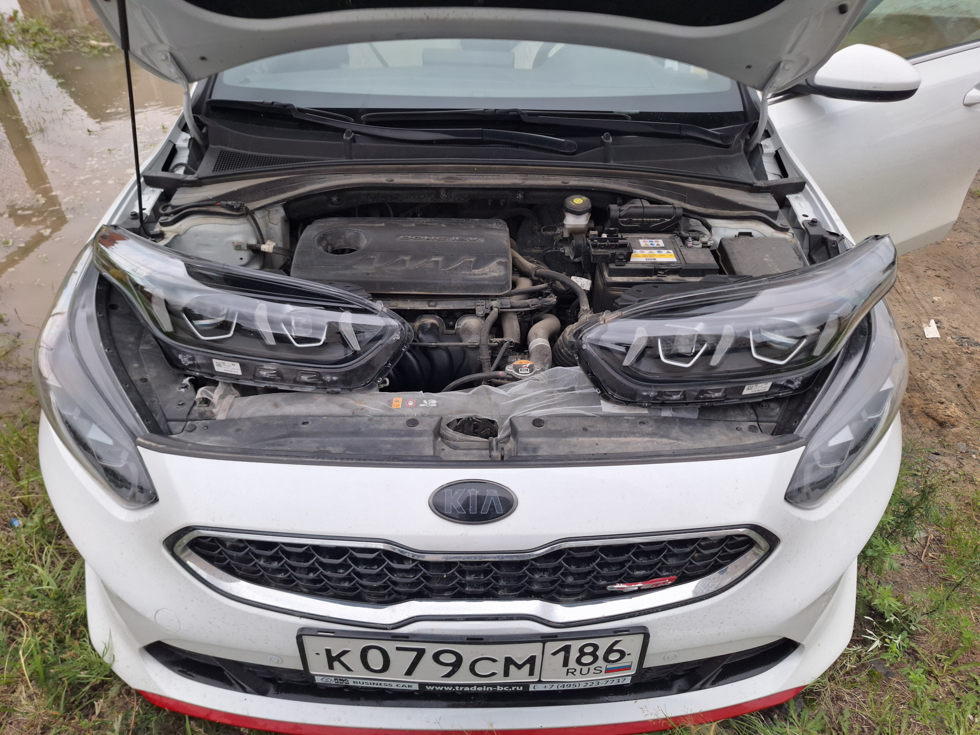 Передние фары рестайлинг kia ceed cd, proceed.Поехали жить где тепло, в Тамань. — KIA Ceed SW ...