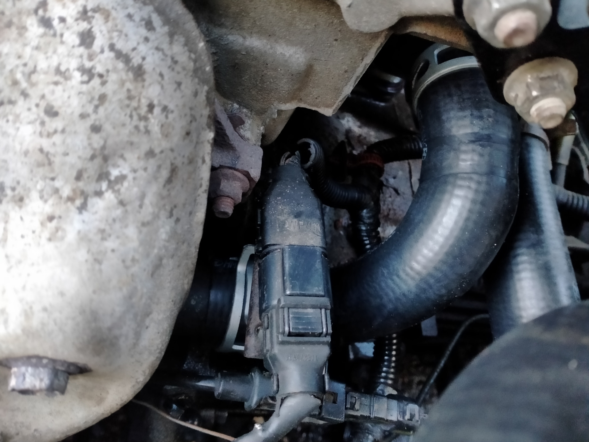 Замена всех патрубков системы охлаждения — Hyundai Accent (2G), 1,5 л ...