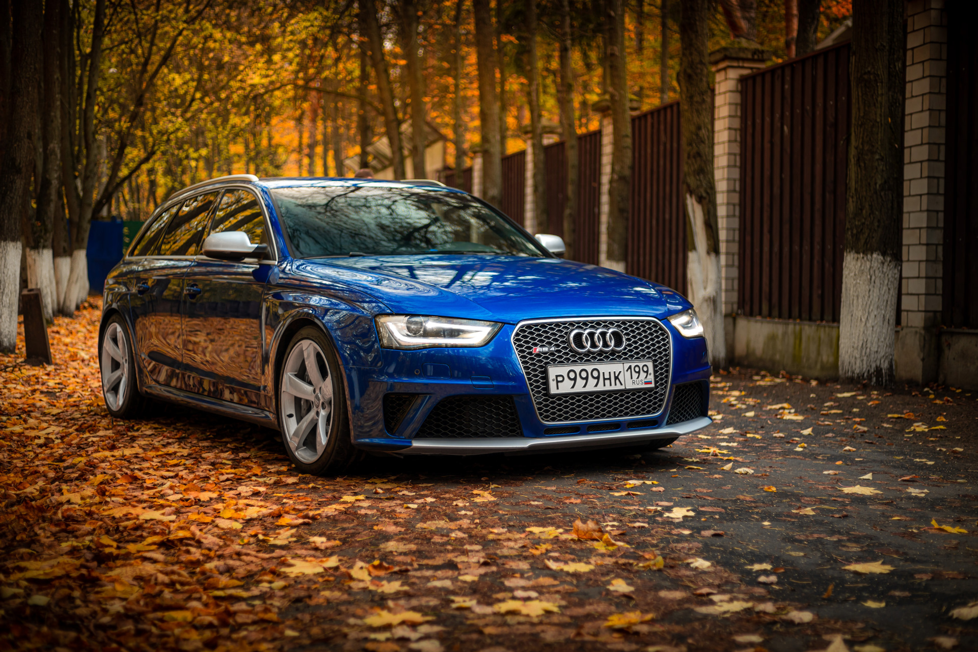 осень 2022 — Audi RS4 (B8), 4,2 л, 2014 года | фотография | DRIVE2