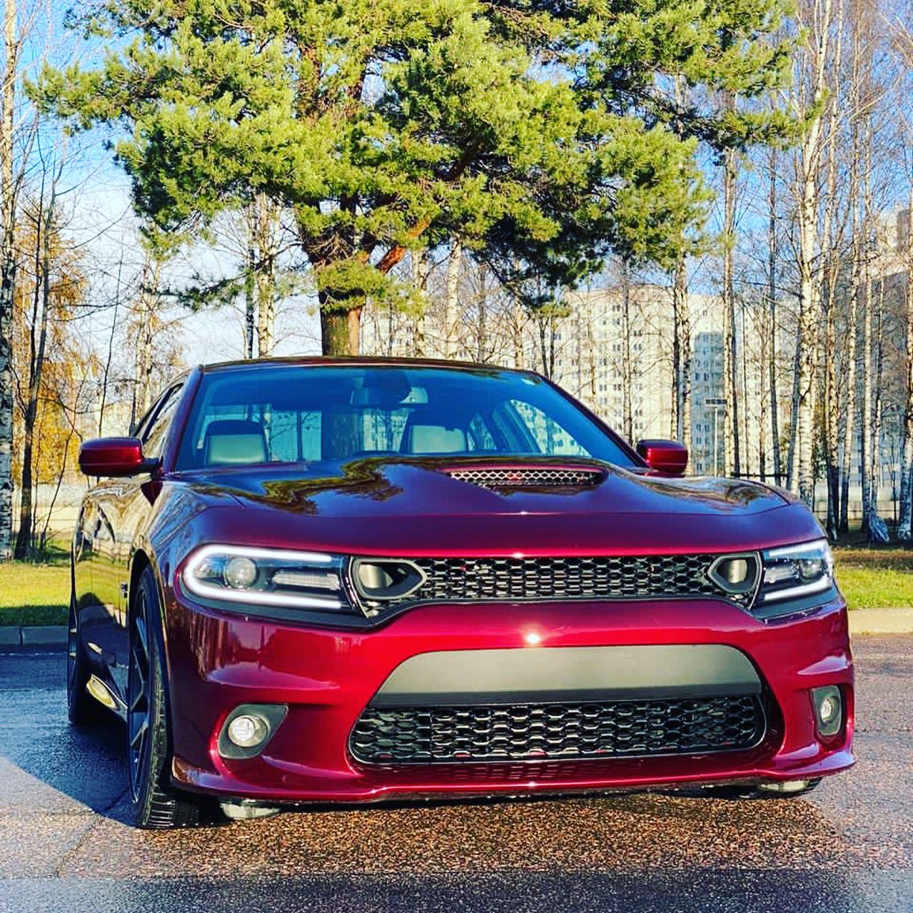 Дино стенд, проверка заявленного стока — Dodge Charger (7G), 6,4 л ...