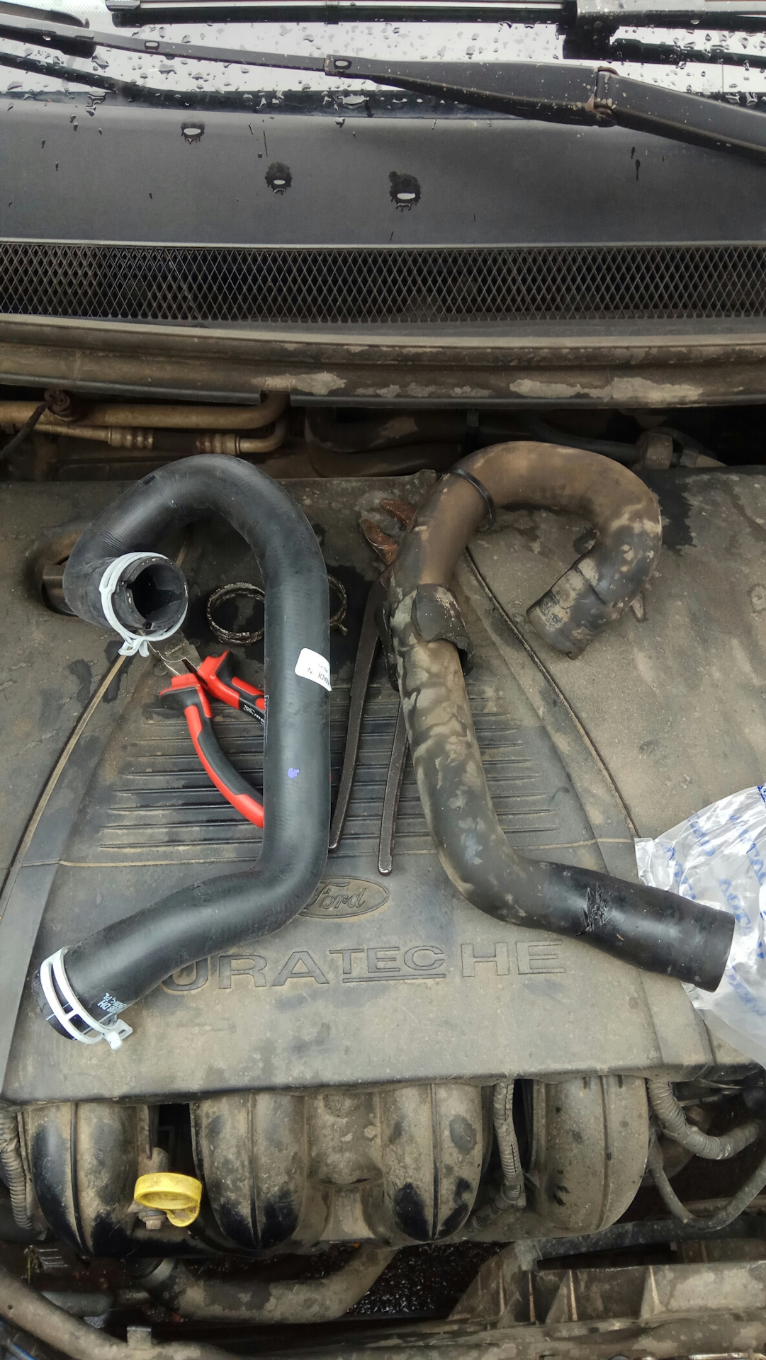 Нижний патрубок радиатора Ford/Volvo — Ford Focus Hatchback II, 1,8 л ...