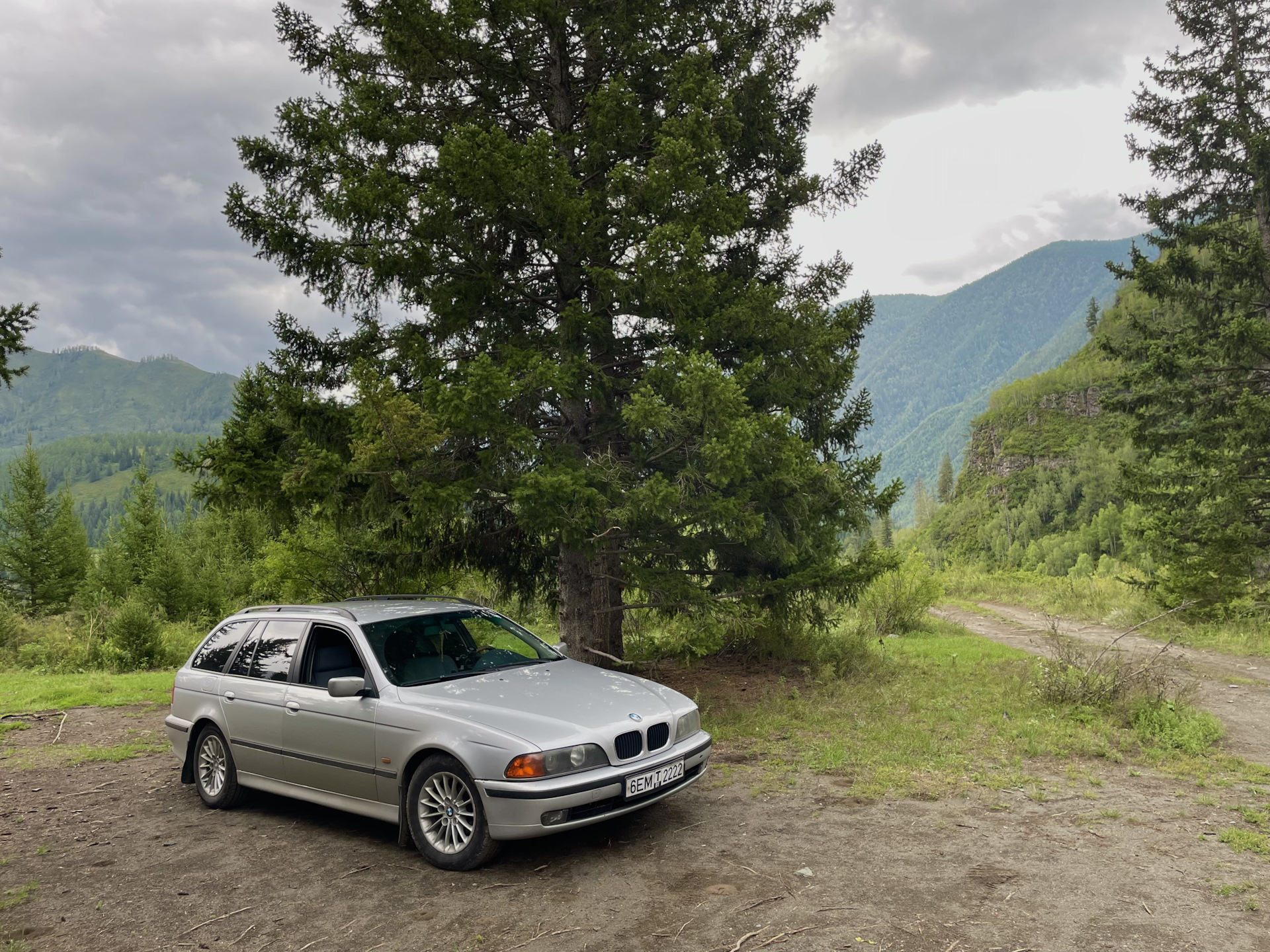 Продолжаем обновляться — BMW 5 series Touring (E39), 2,5 л, 1997 года ...