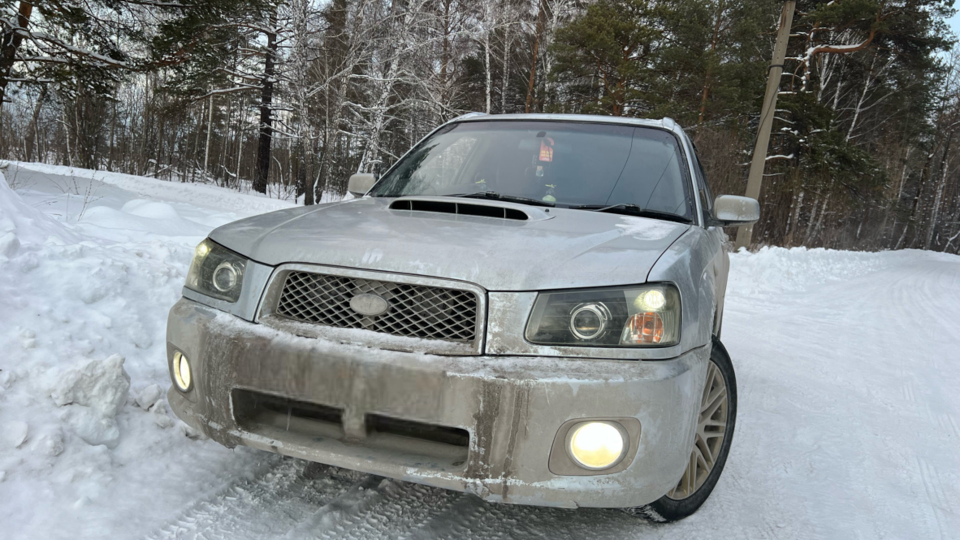Subaru Forester (SG) 2.0 бензиновый 2003 | Diamond на DRIVE2