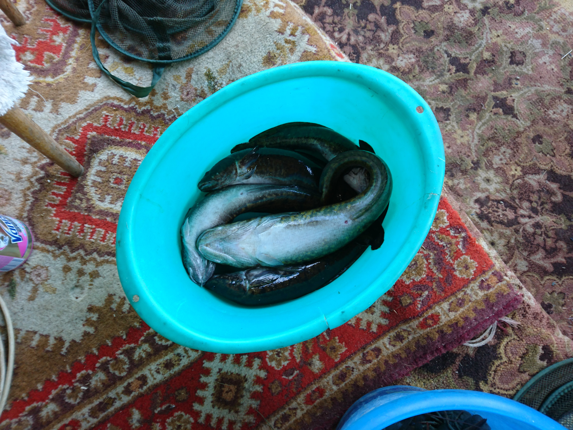 Однофотопост! — Lada 2106, 1,6 л, 1984 года | запчасти | DRIVE2