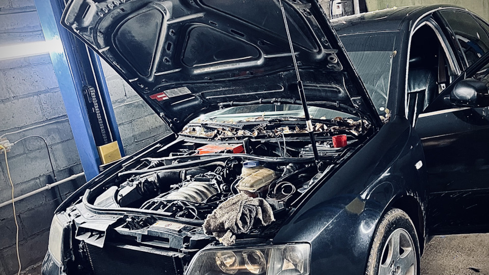 Расшифровка WIN — Audi A6 (C5), 2,8 л, 1998 года | другое | DRIVE2