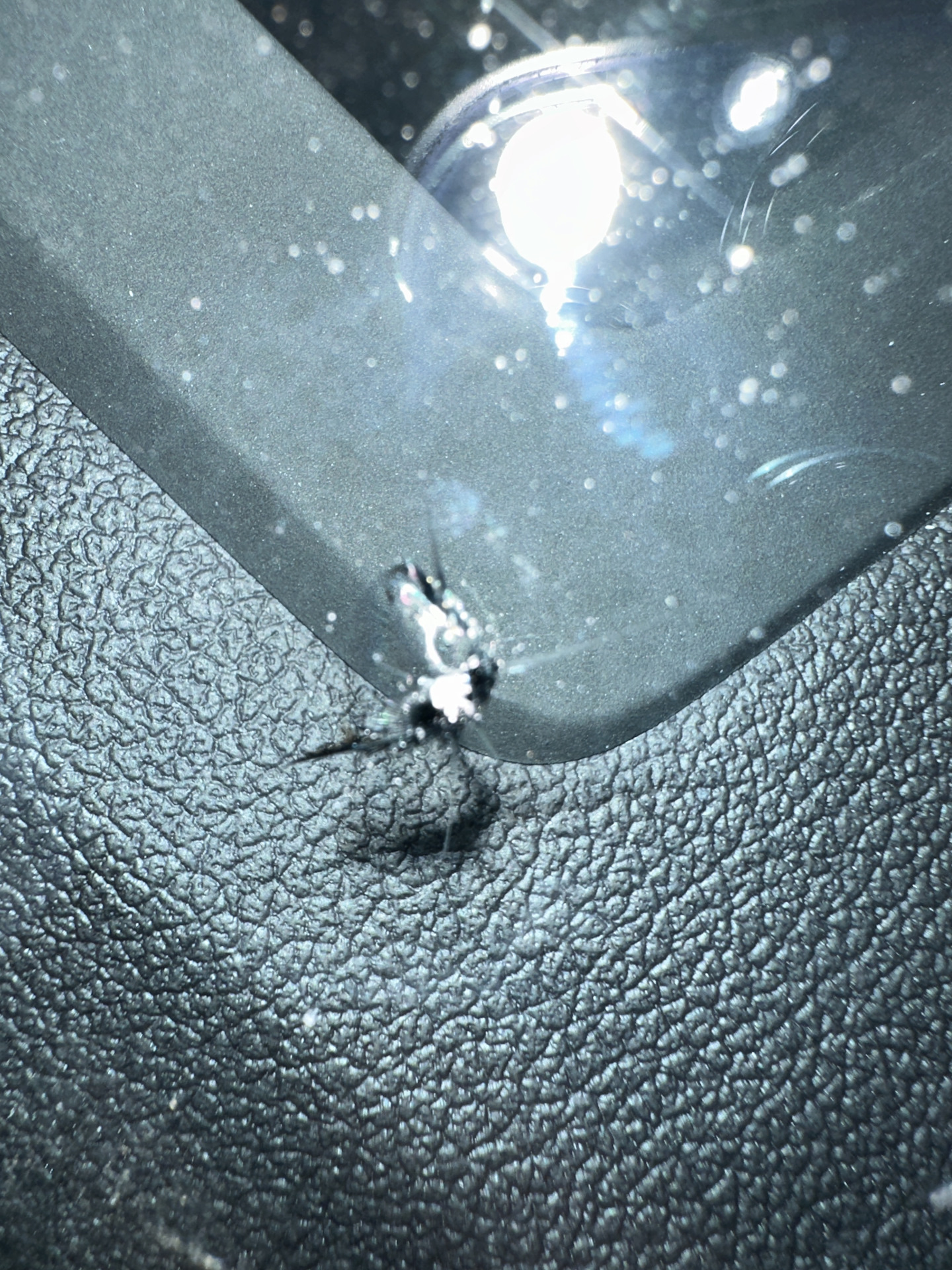 Замена лобового стекла по КАСКО — BMW 3 series (G20), 2 л, 2019 года ...