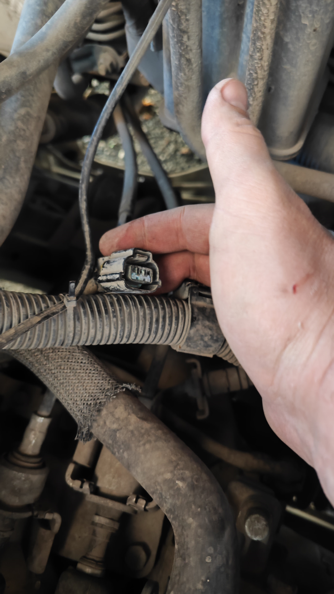 Разъем датчика скорости — Mitsubishi Lancer X, 2 л, 2008 года ...