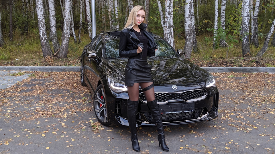О том, как Стингер унизили — KIA Stinger, 3,3 л, 2019 года | наблюдение ...