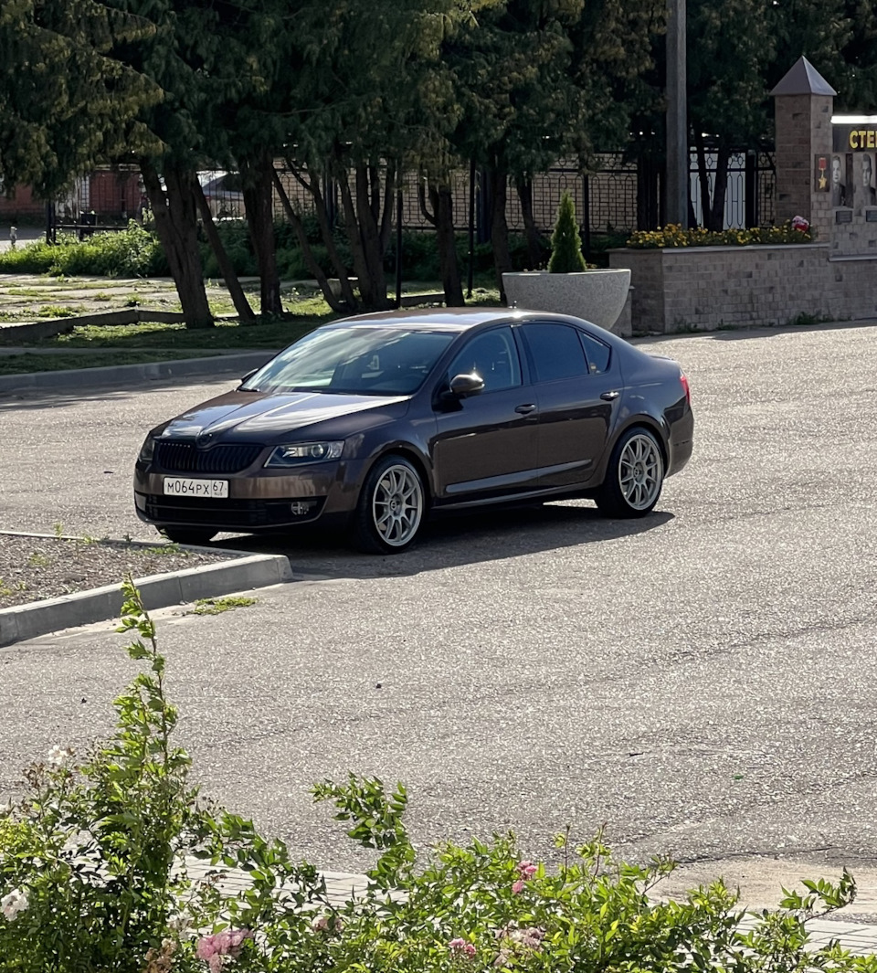 ЗАМЕНА МАСЛЯНОГО ПОДДОНА И ПОМПЫ — Skoda Octavia A7 Mk3, 1,8 л, 2017 ...