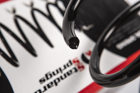 Standard Springs: отзывы, цены, фото