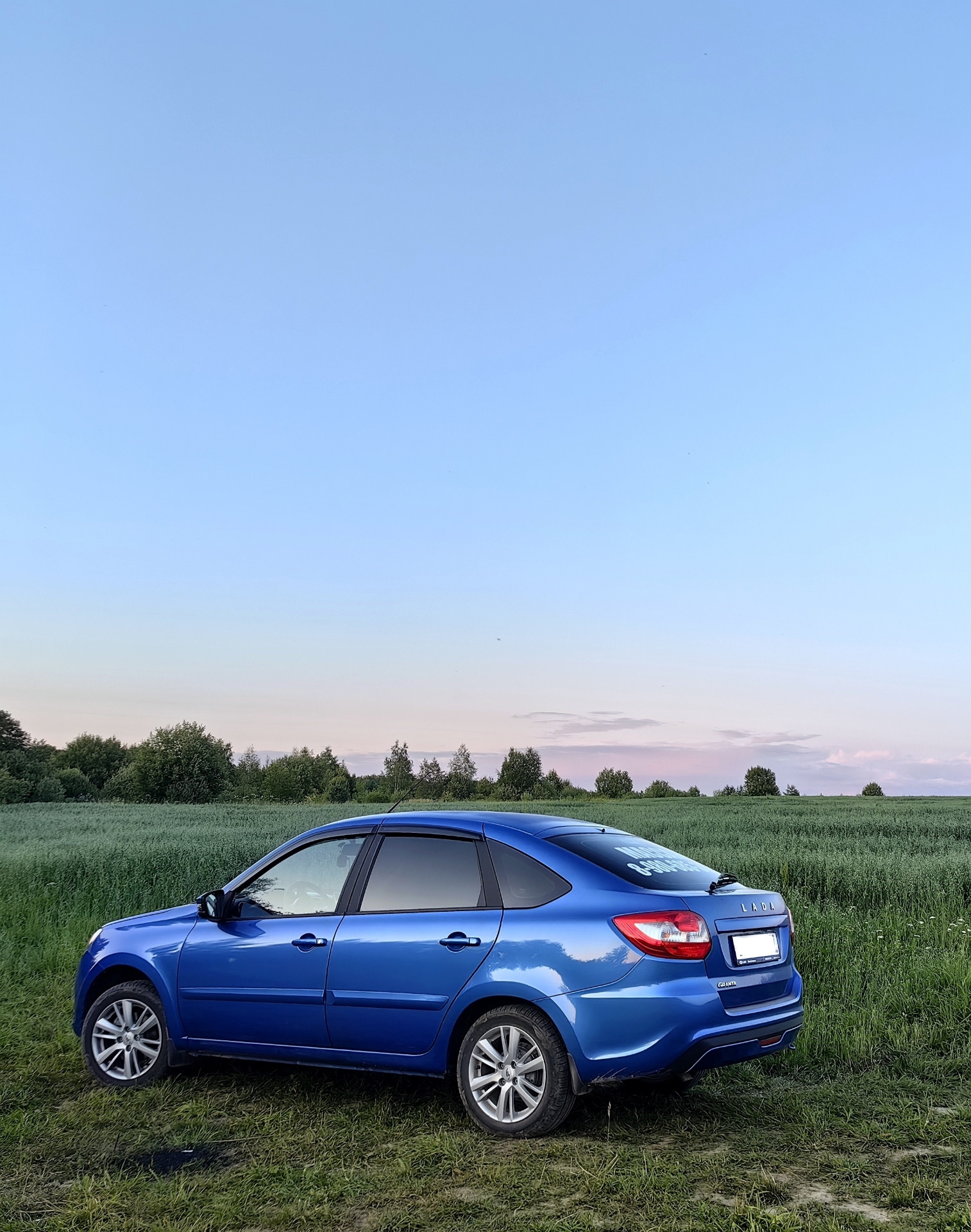 Концевик капота и поля бескрайние — Lada Гранта Лифтбек (2G), 1,6 л ...