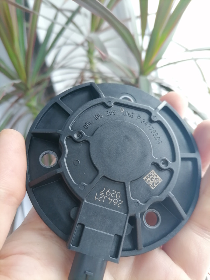 427003410 Центральный магнит INA | Запчасти на DRIVE2