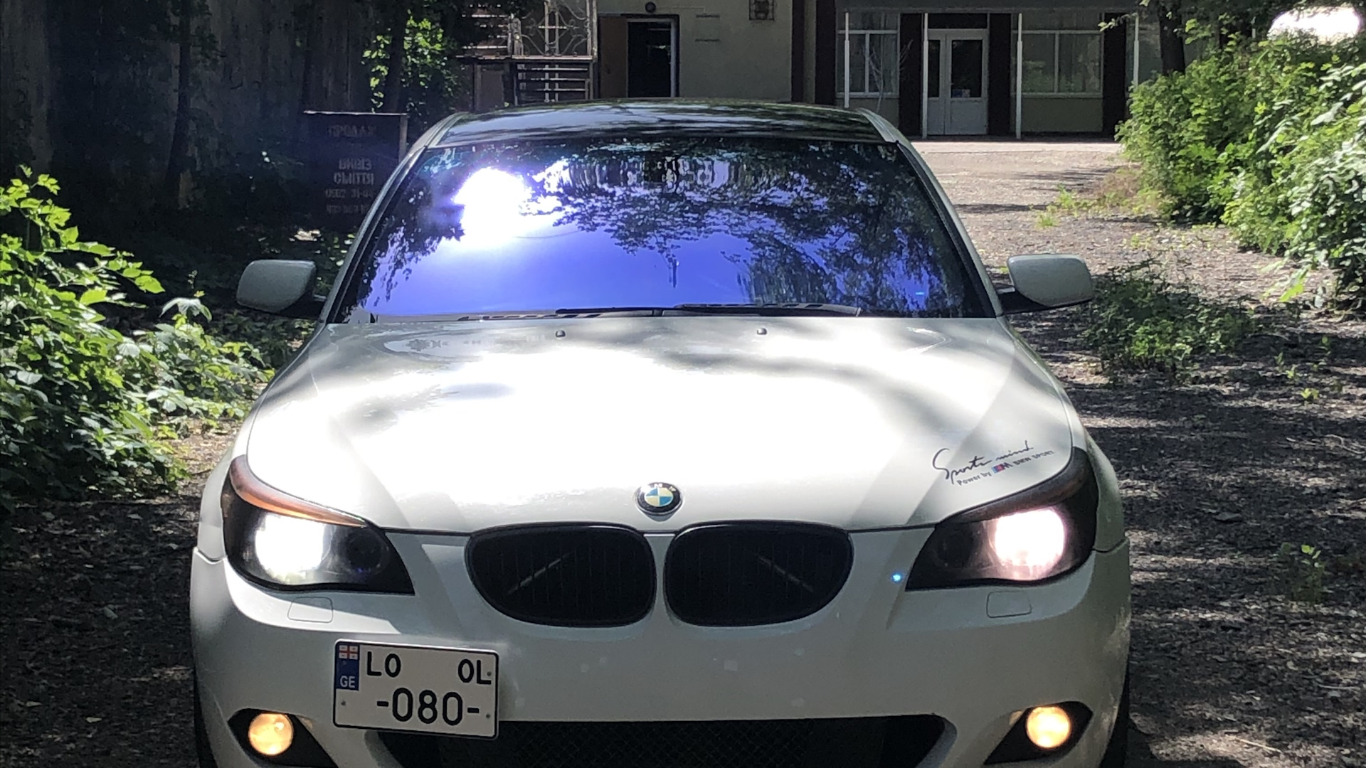 BMW 5 series (E60) 2.5 бензиновый 2005 | Alpine Weiss на DRIVE2