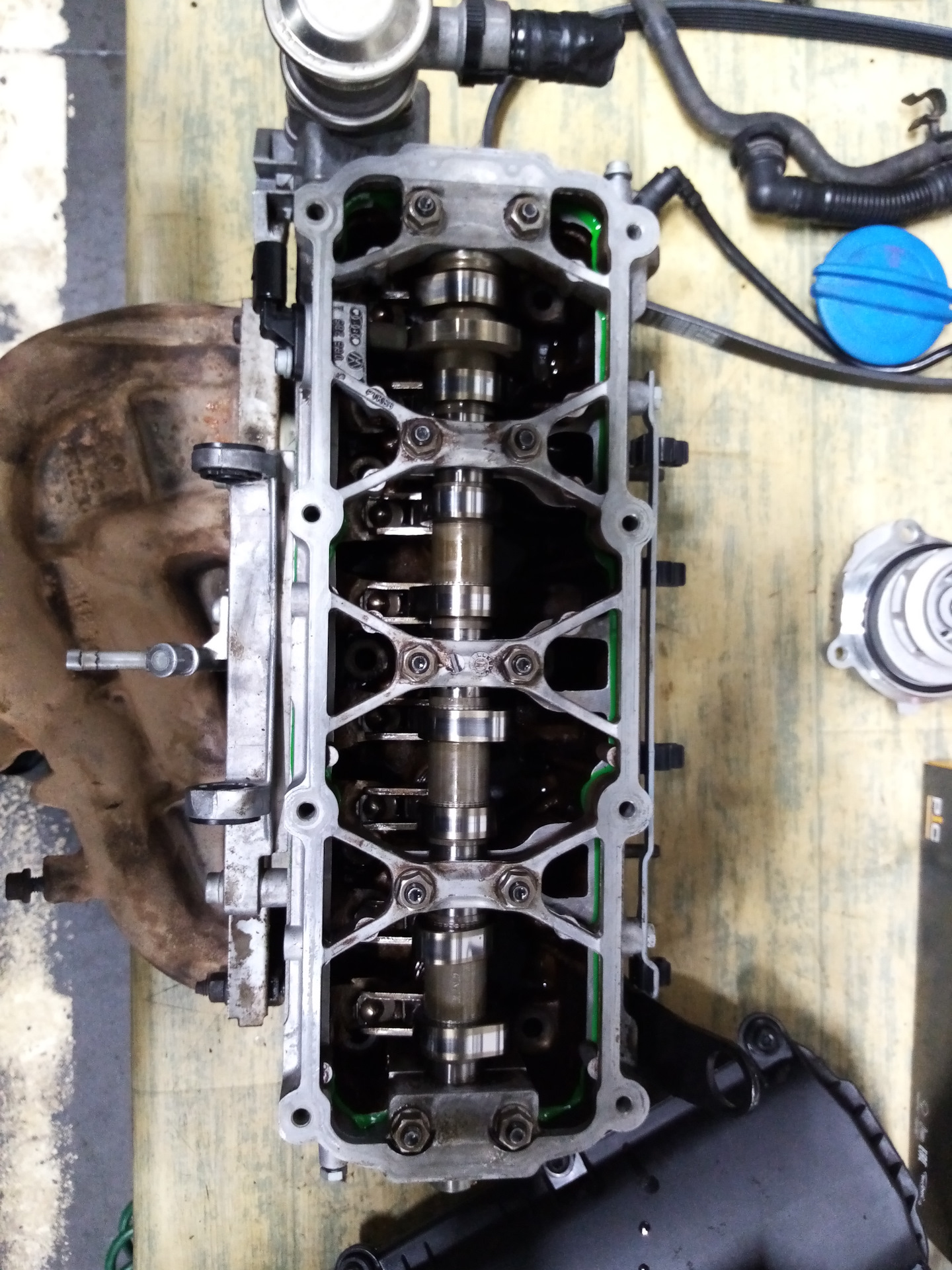 Дикий масложор BSE 1.6 Octavia A5FL — Skoda Octavia A5 Mk2, 1,6 л, 2012 ...