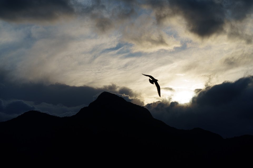 Запись, 2 апреля 2021 — DRIVE2