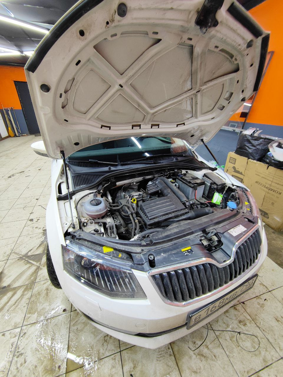 Упоры капота, заливная горловина омывайки — Skoda Octavia A7 Mk3, 1,4 л ...