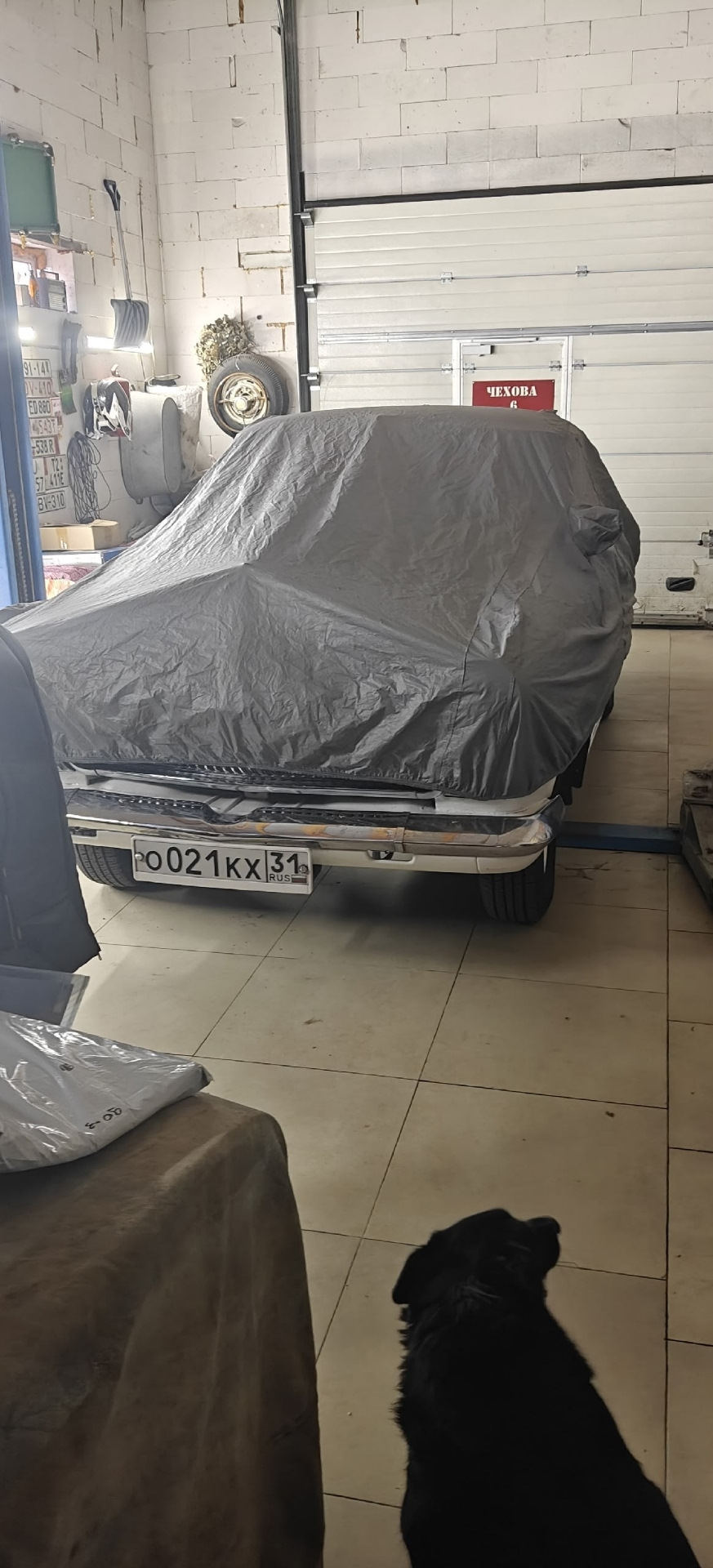 С пополнением ! — ЗАЗ 968, 1,2 л, 1976 года | покупка машины | DRIVE2