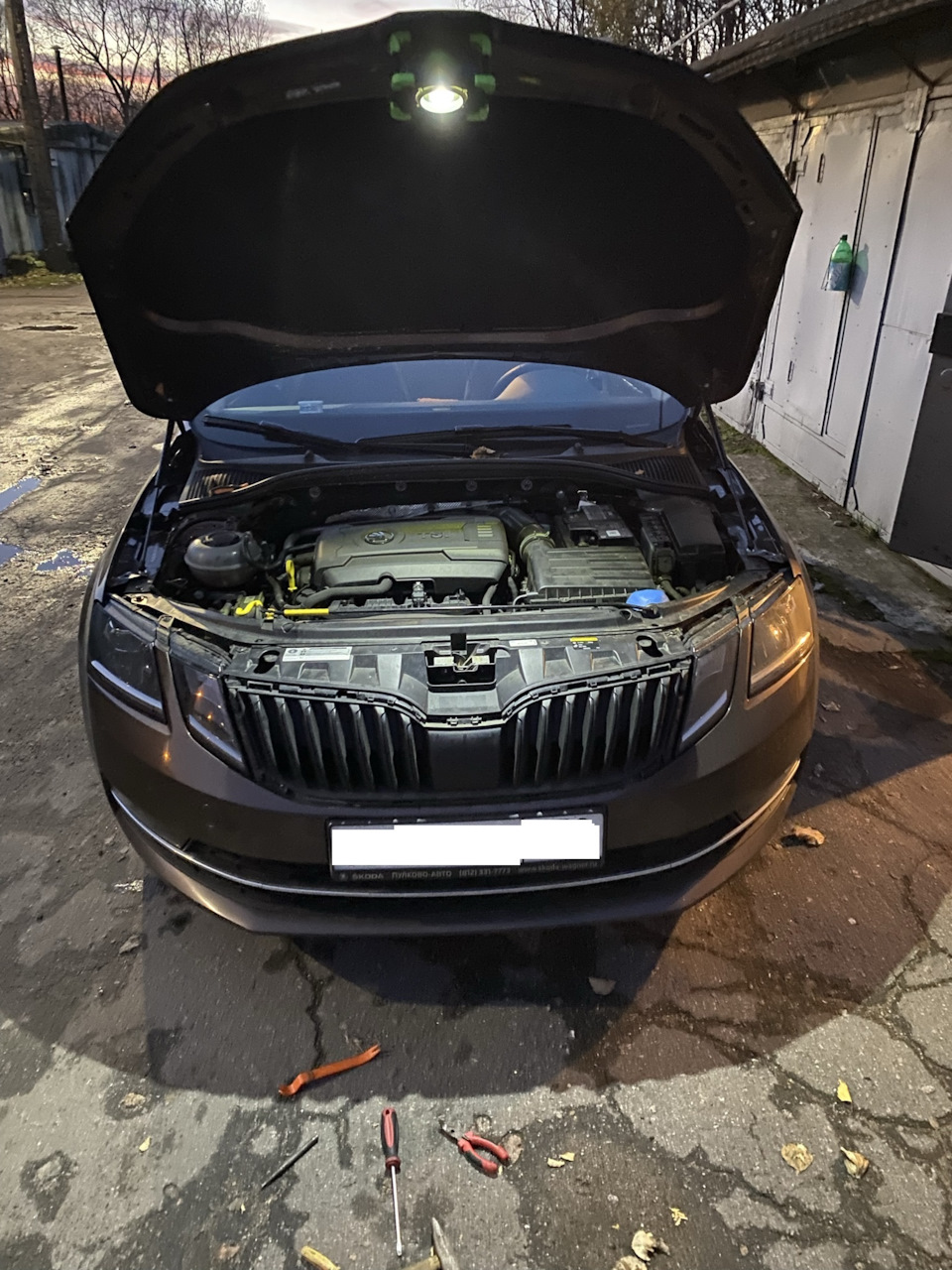 Антихром Шкода Октавия А7 фл — Skoda Octavia A7 Mk3, 1,8 л, 2017 года ...