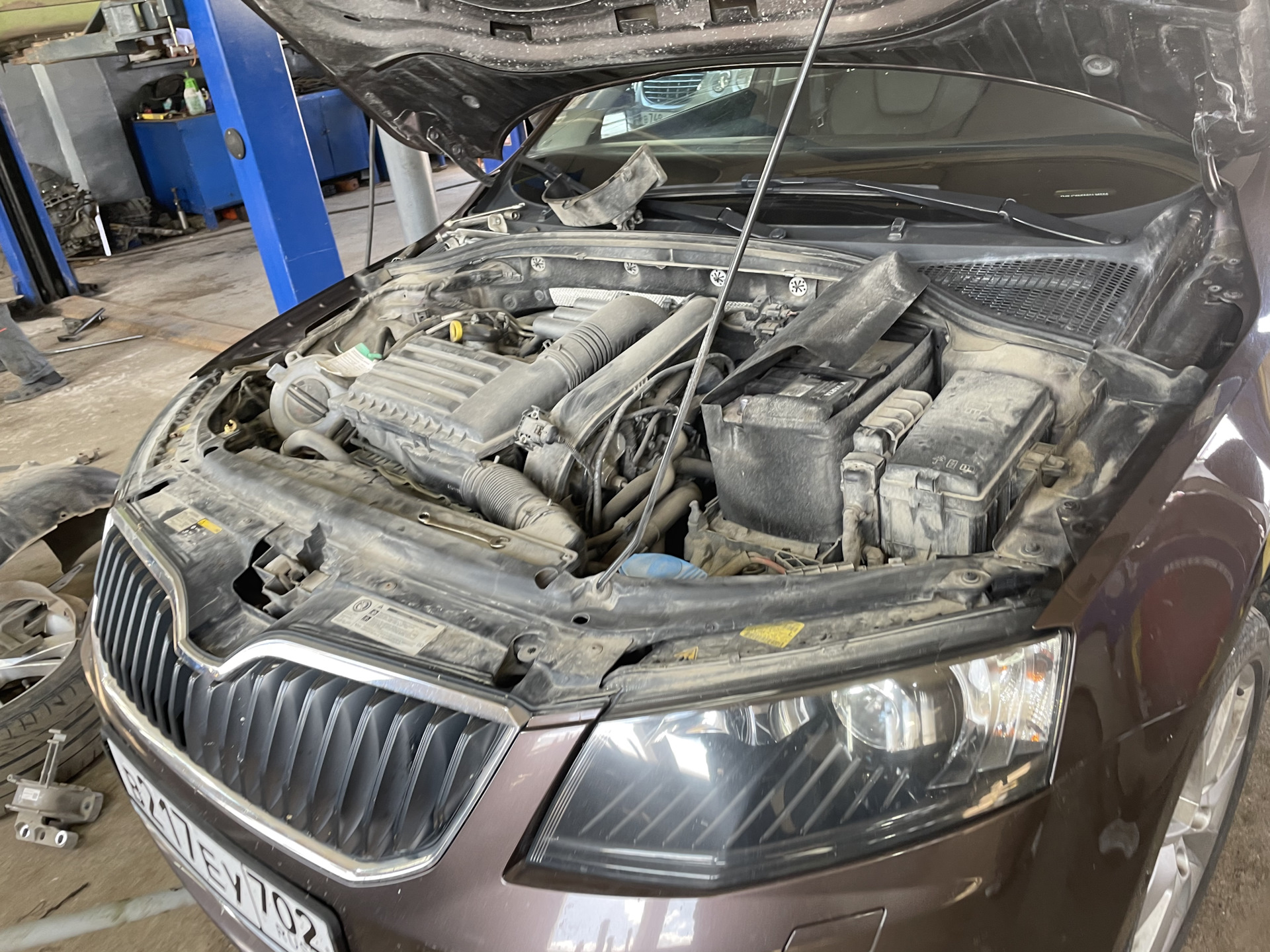 Замена ремня грм, свеч и масла — Skoda Octavia Combi A7 Mk3, 1,4 л, 2015 года | плановое ТО | DRIVE2