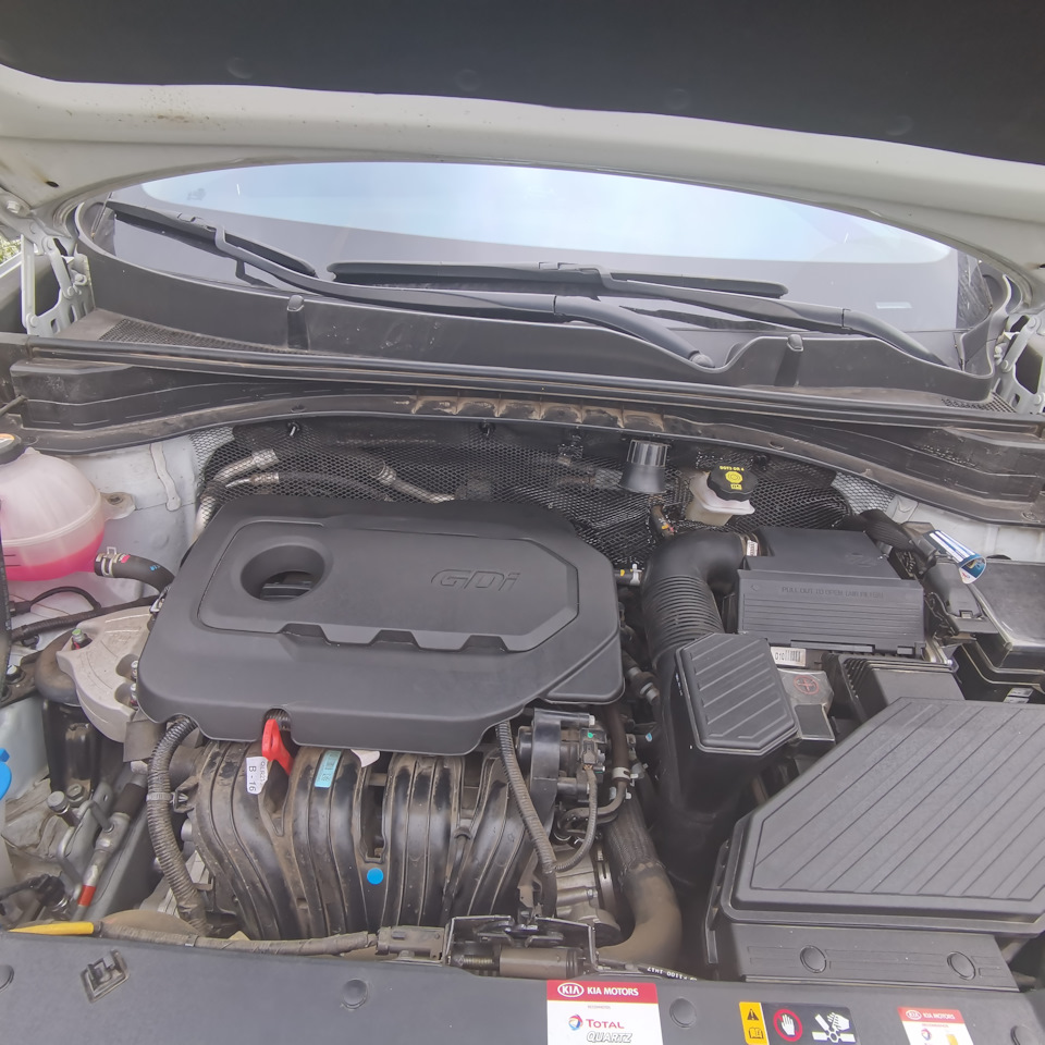 Сетка от кошек под капот — KIA Sportage (4G), 2,4 л, 2021 года | своими ...