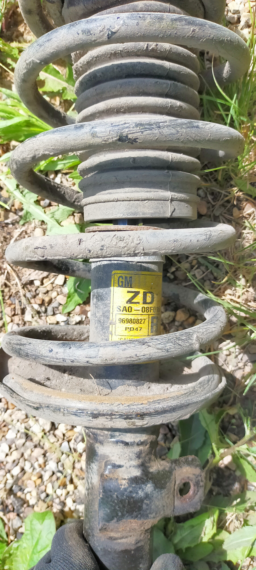 96980827 Стойка передняя правая с амортизатором / Chevrolet Aveo 03~ GM ...