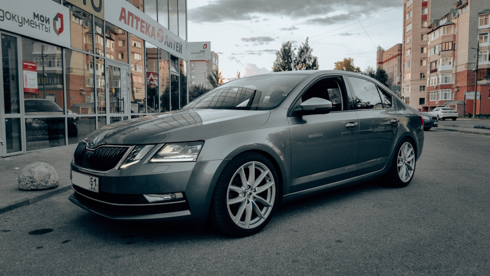 Бортжурнал Skoda Octavia Grey Bizon