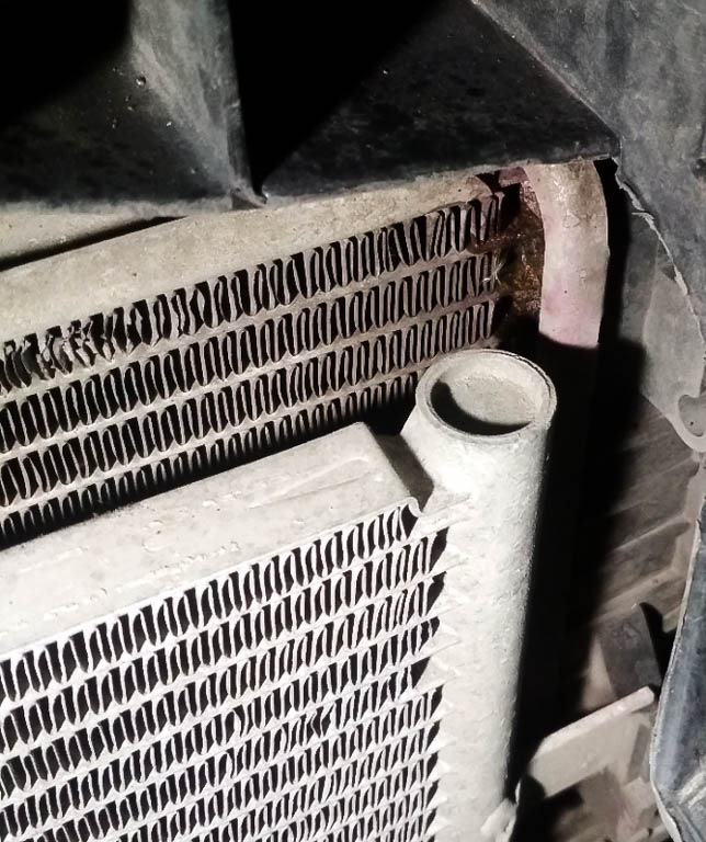 радиатор Luzar — Ford C-Max I, 1,8 л, 2005 года | запчасти | DRIVE2