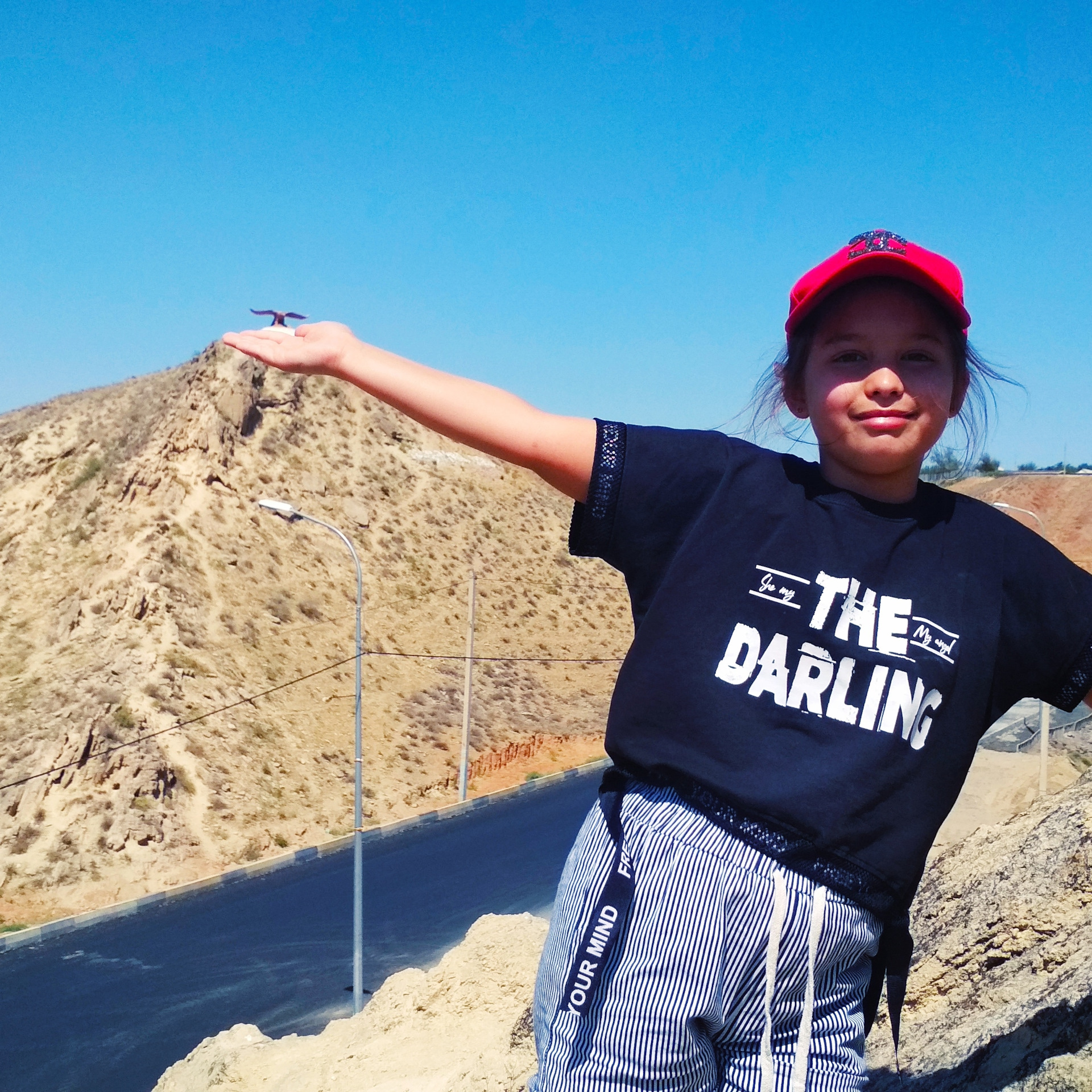 Новые литые диски — Ford Focus I Hatchback, 1,6 л, 2004 года | колёсные ...