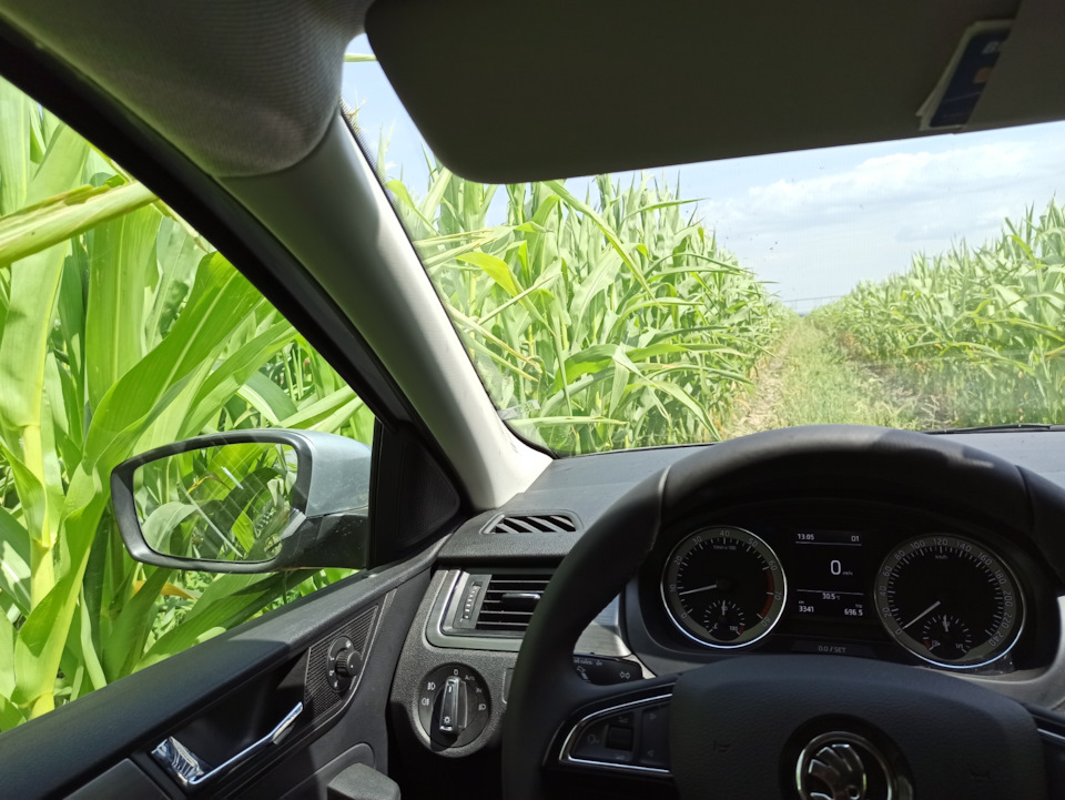 Будни работяги Рапида)) — Skoda Rapid (1G), 1,4 л, 2019 года ...